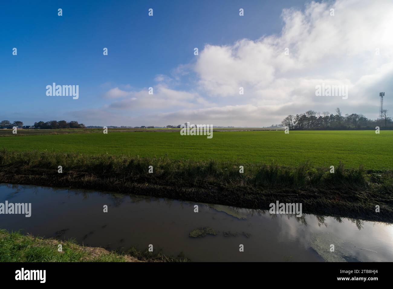 Fields outside of Ternaard, the Netherlands Stock Photo - Alamy