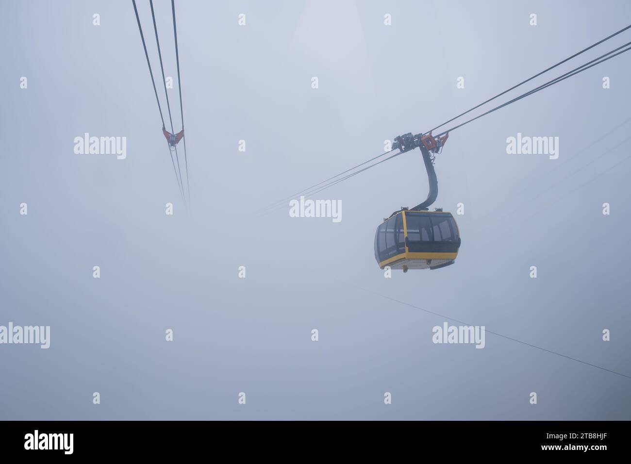 Cable car carries passenger moving on the mountain among the foggy in ...