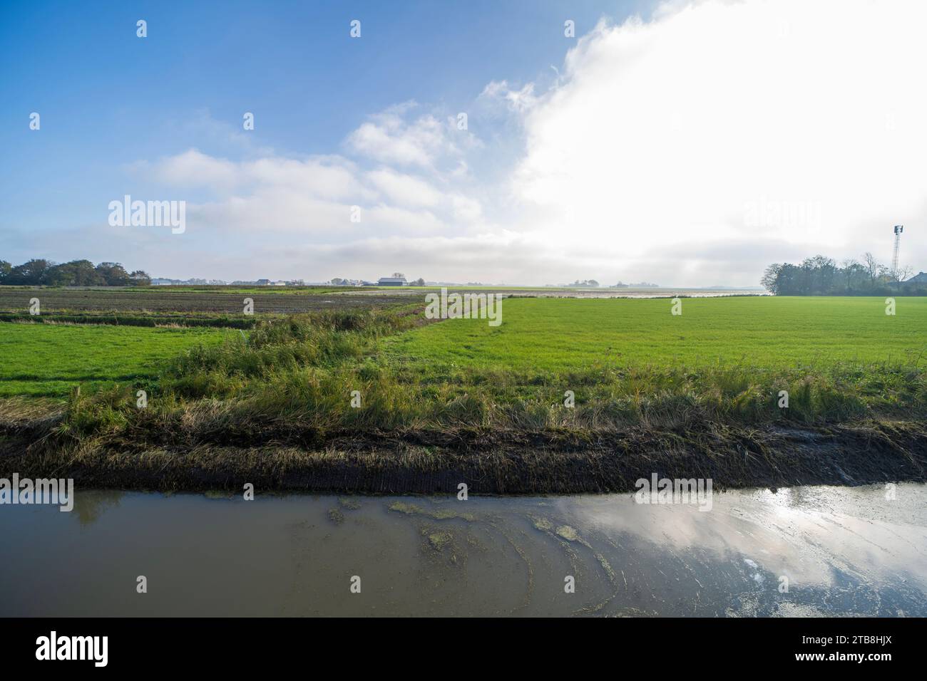 Fields outside of Ternaard, the Netherlands Stock Photo - Alamy