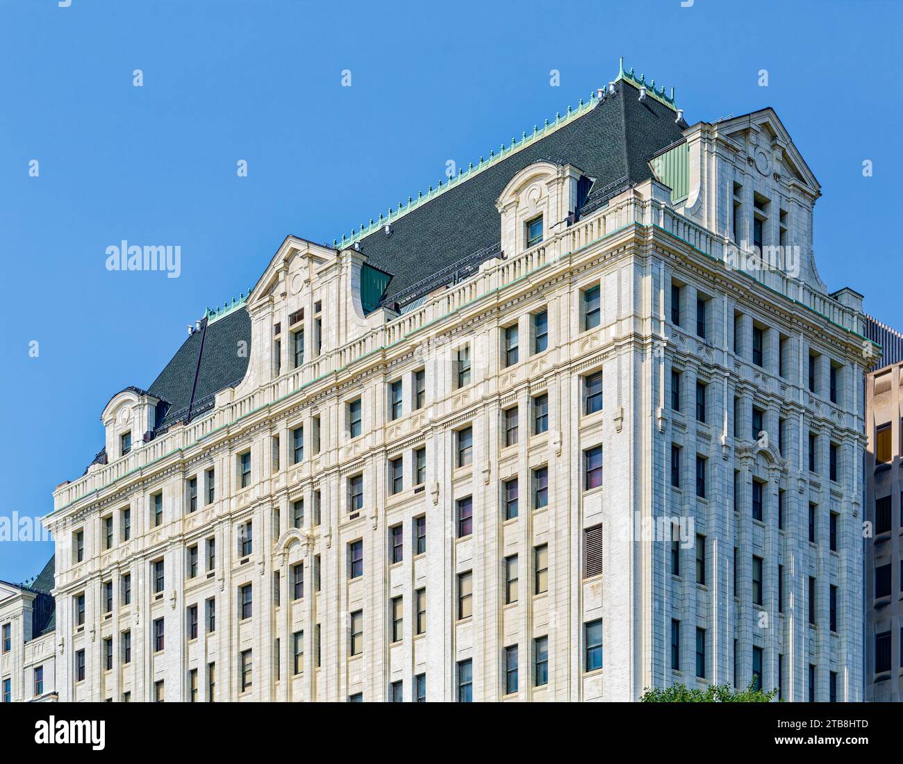 Mckenzie voorhees and gmelin hi-res stock photography and images - Alamy