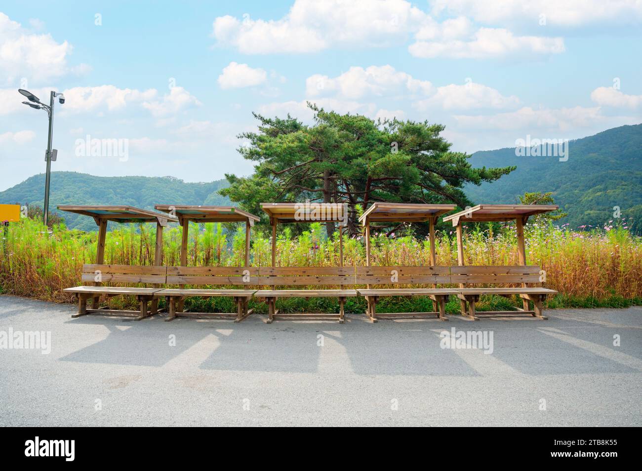 Bus stop and wooden bench with shelter in spring garden by asphalt road ...