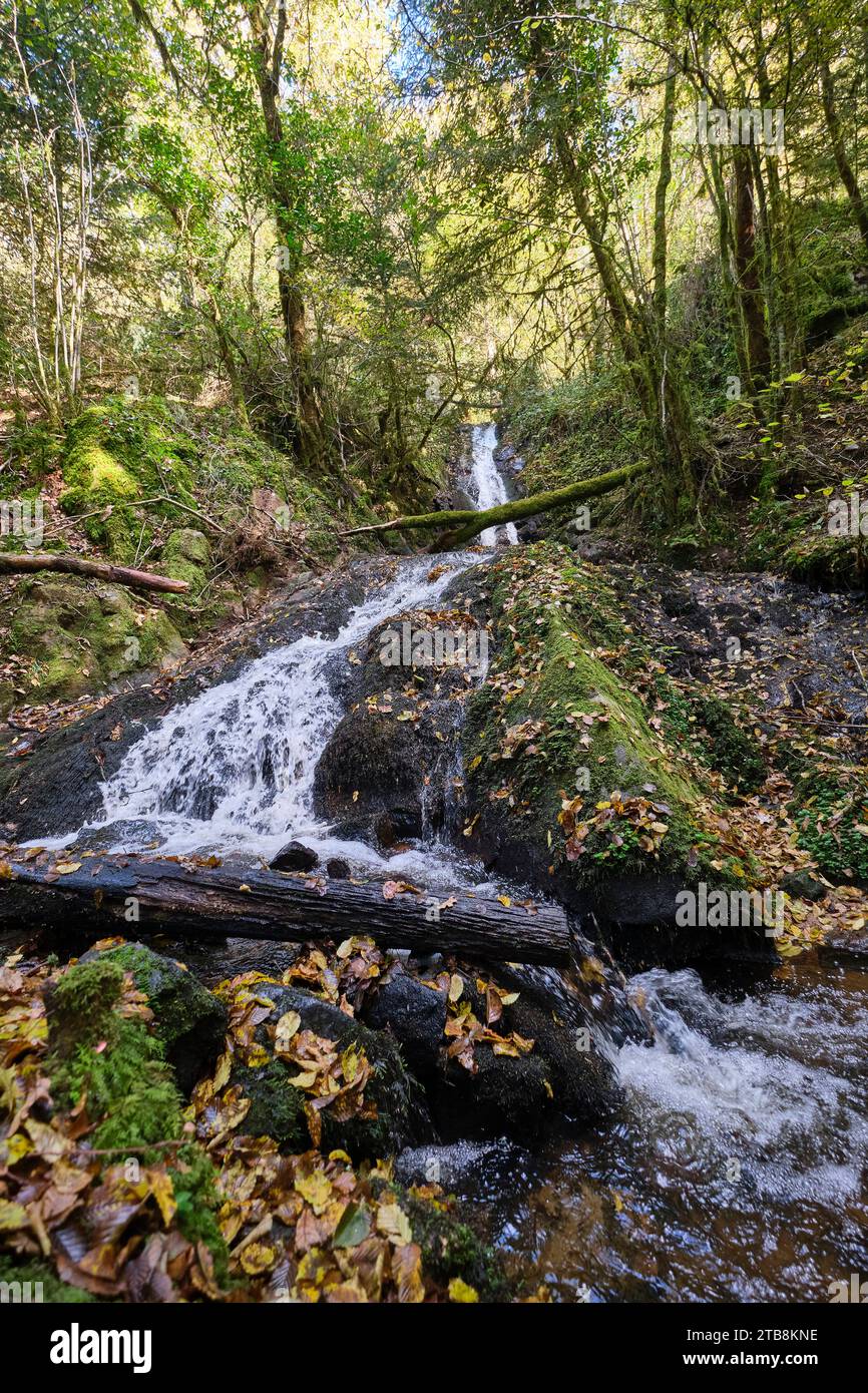 Gimel-les-Cascades (central France): site of the Montane Gorges with ...