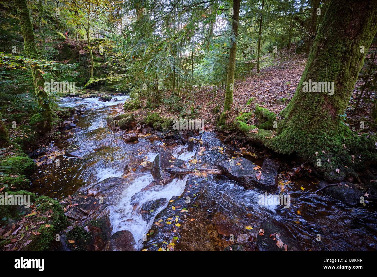 Gimel-les-Cascades (central France): site of the Montane Gorges with ...