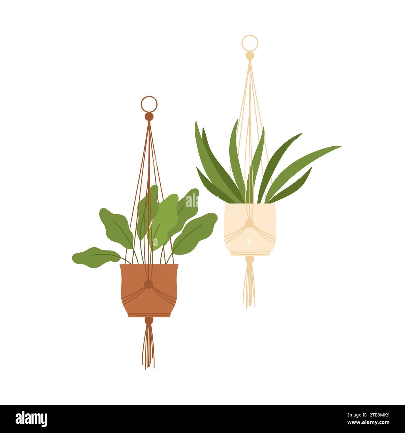 Hanging potted plants. Wall decorative botanicals in pot, garden ...