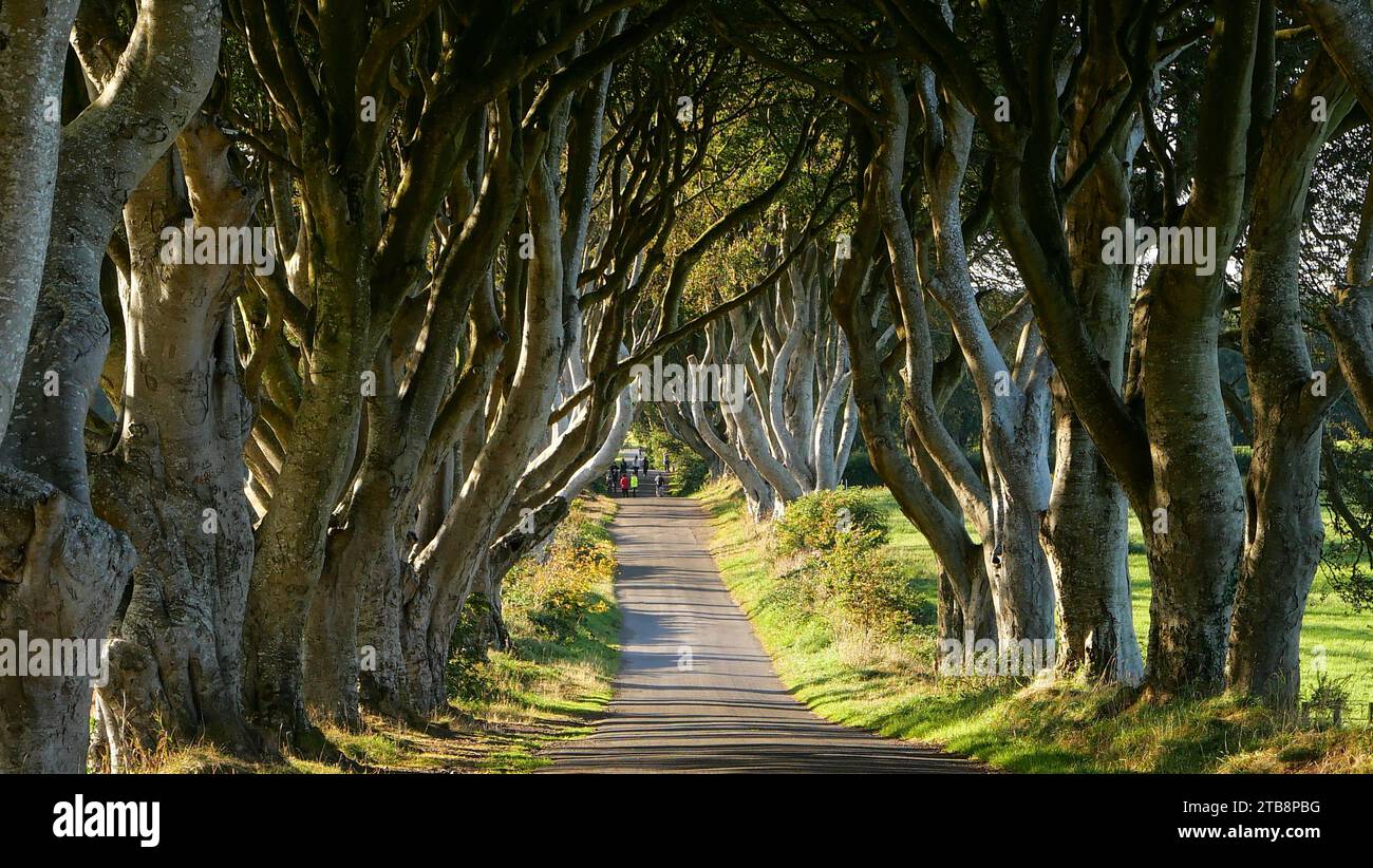 Northern Ireland, County Antrim: overview of the Dark Edges near ...