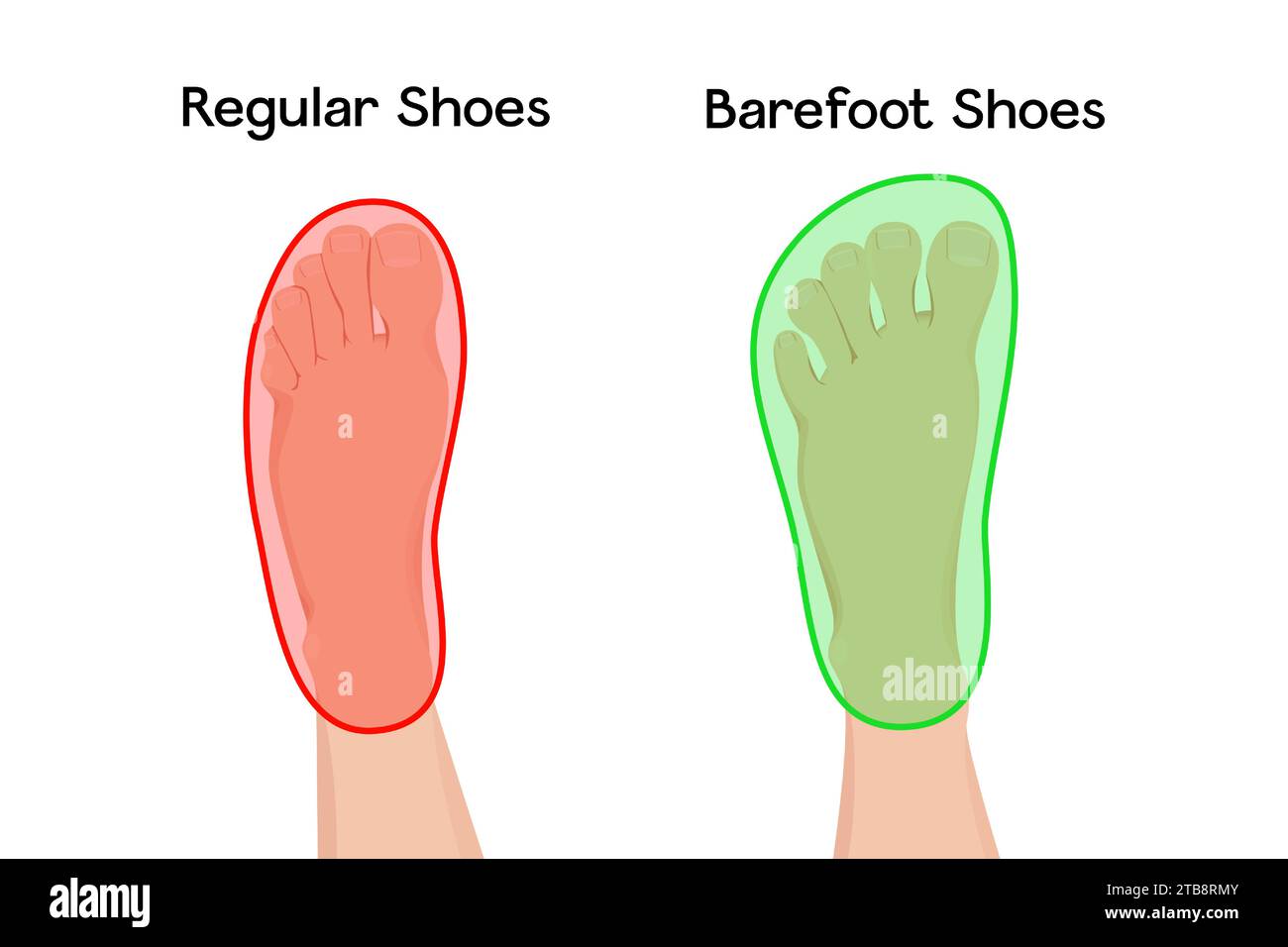 Barefoot and regular shoes vector illustration infographic Stock Vector ...