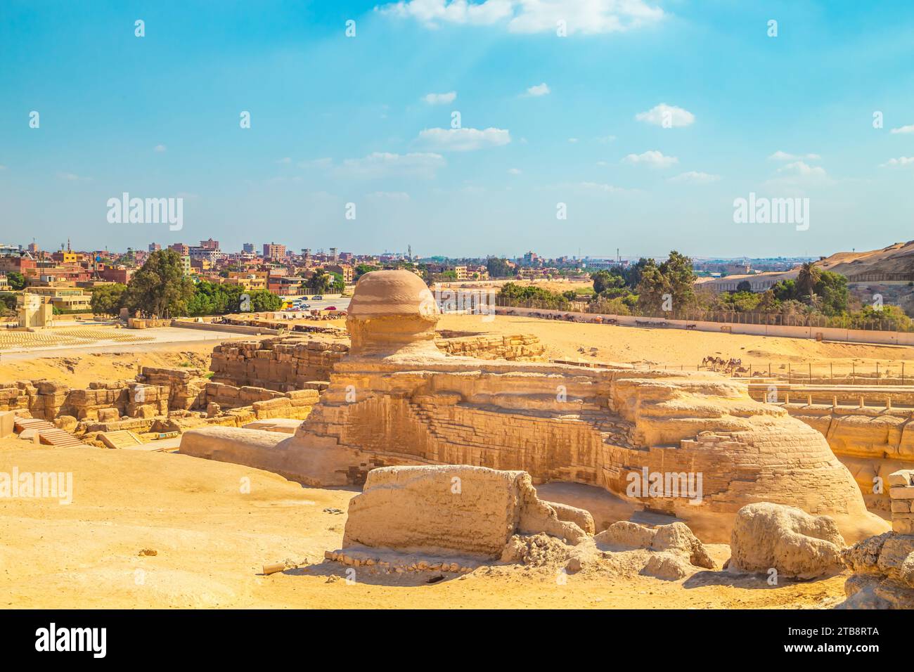The Great Sphinx with Giza in the background. Back view. Giza, Egypt ...