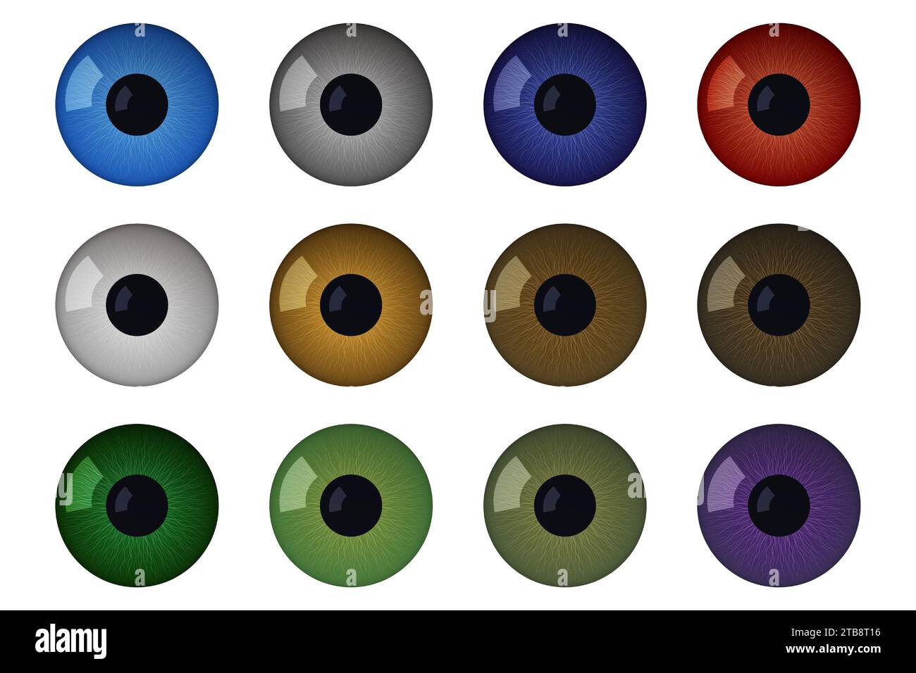 Realistic human pupils vector illustration design Stock Vector Image ...