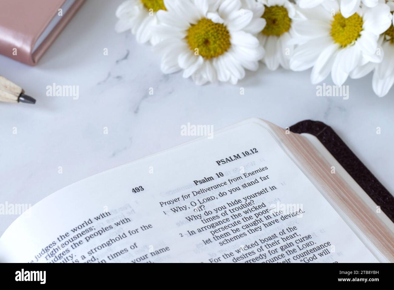 Open holy bible book, Psalm 10 verses with flowers on white marble ...