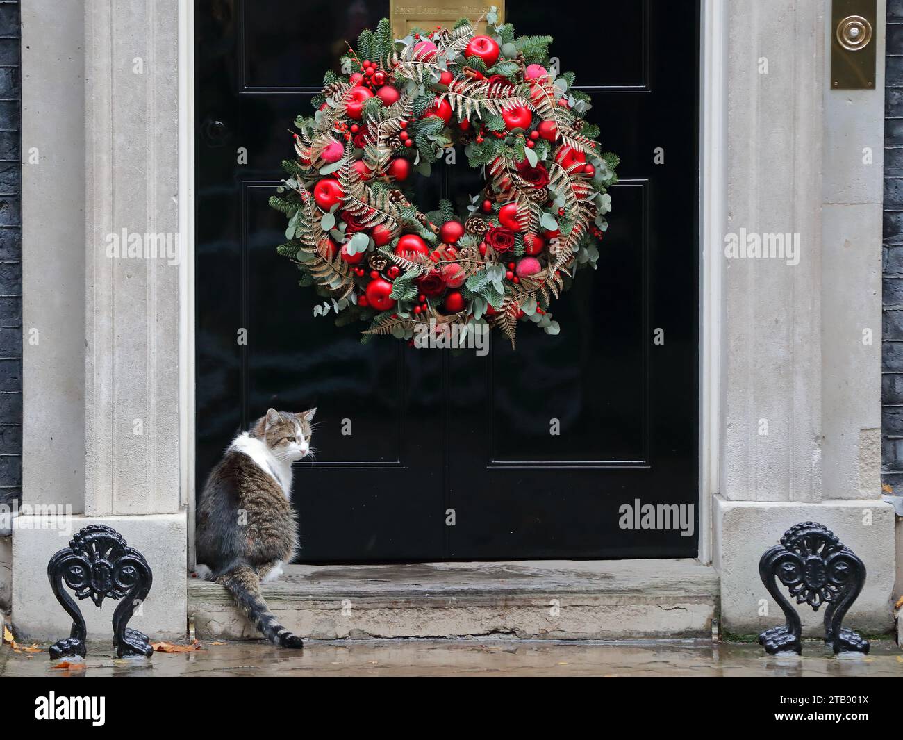 London, United Kingdom. 05th Dec, 2023. Larry the Cat, Chief Mouser to ...