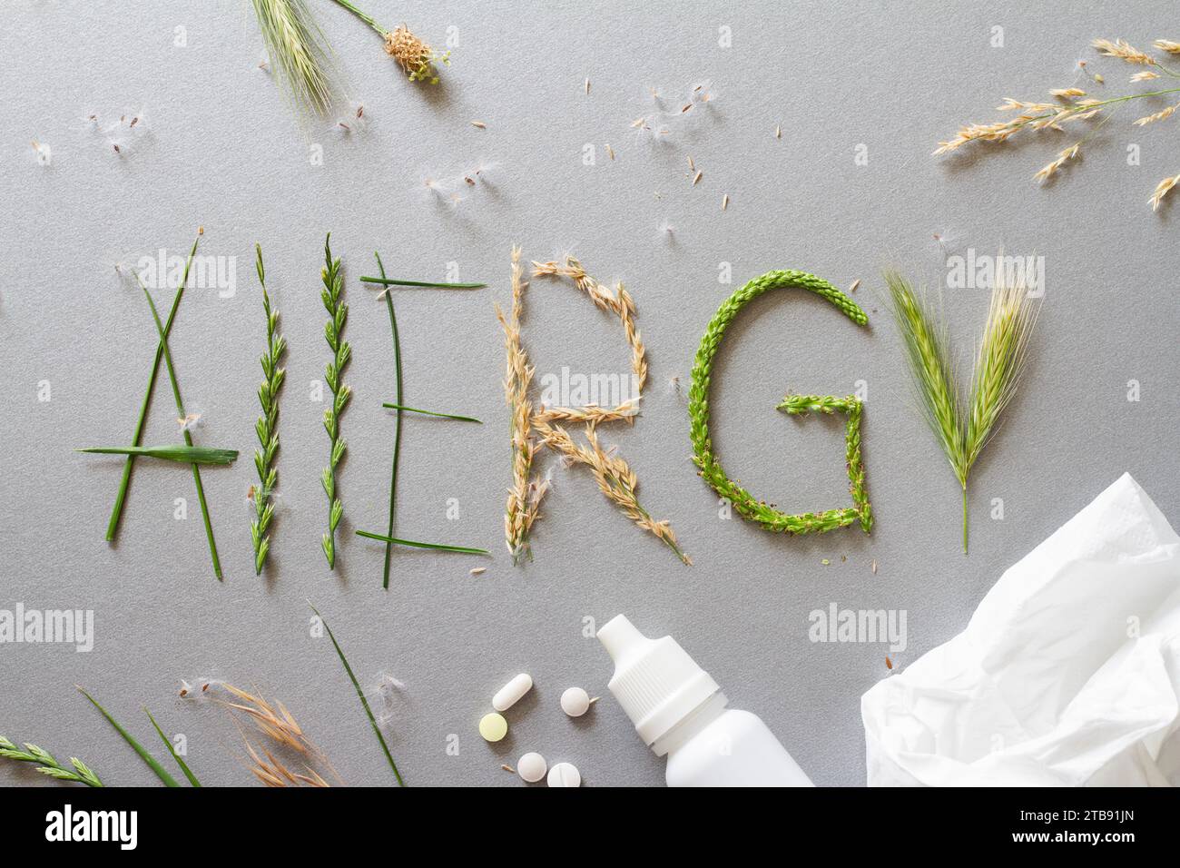 Word "allergy" made of different grasses, medicaments, pollen and grass ...