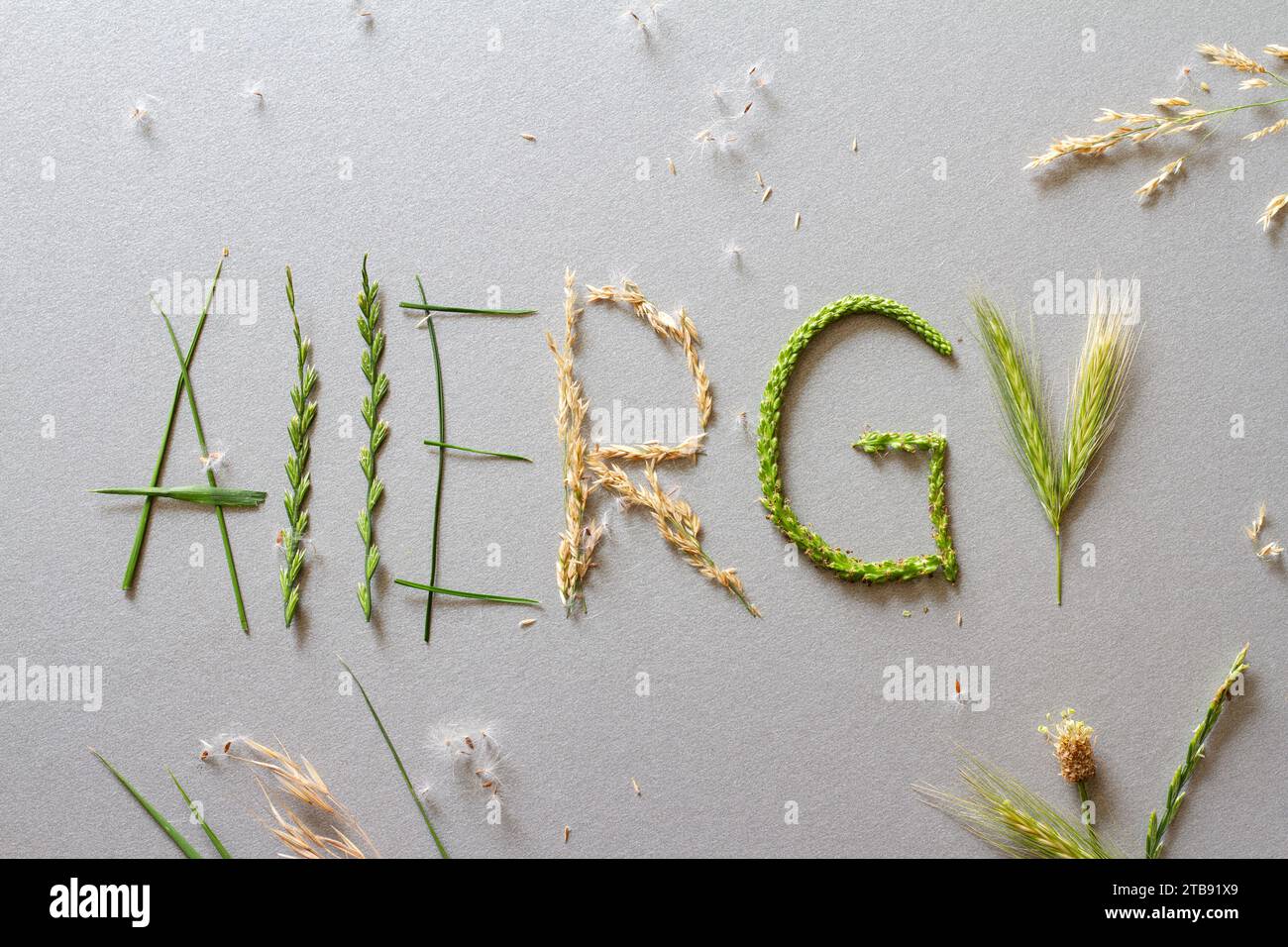 Word "allergy" made of different grasses, pollen and grass allergy ...