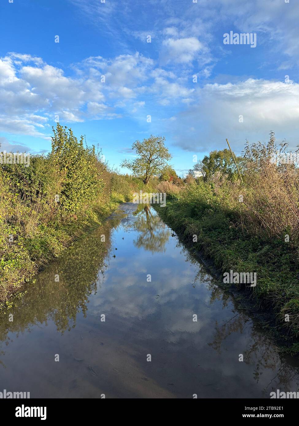 Flooded country lane with reflection of tree in flood water in East ...