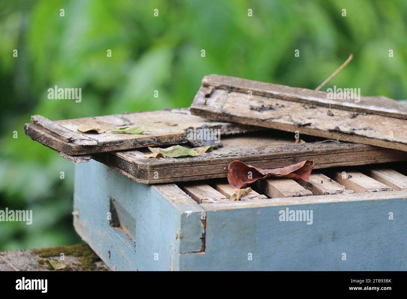 Beehive box hi-res stock photography and images - Alamy