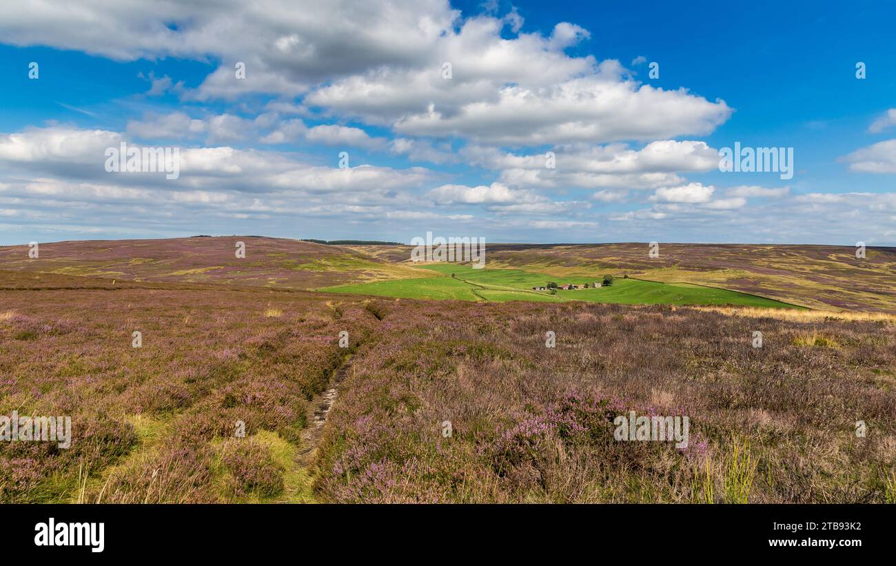 North York Moors landscape near Percy Cross, North Yorkshire, England ...
