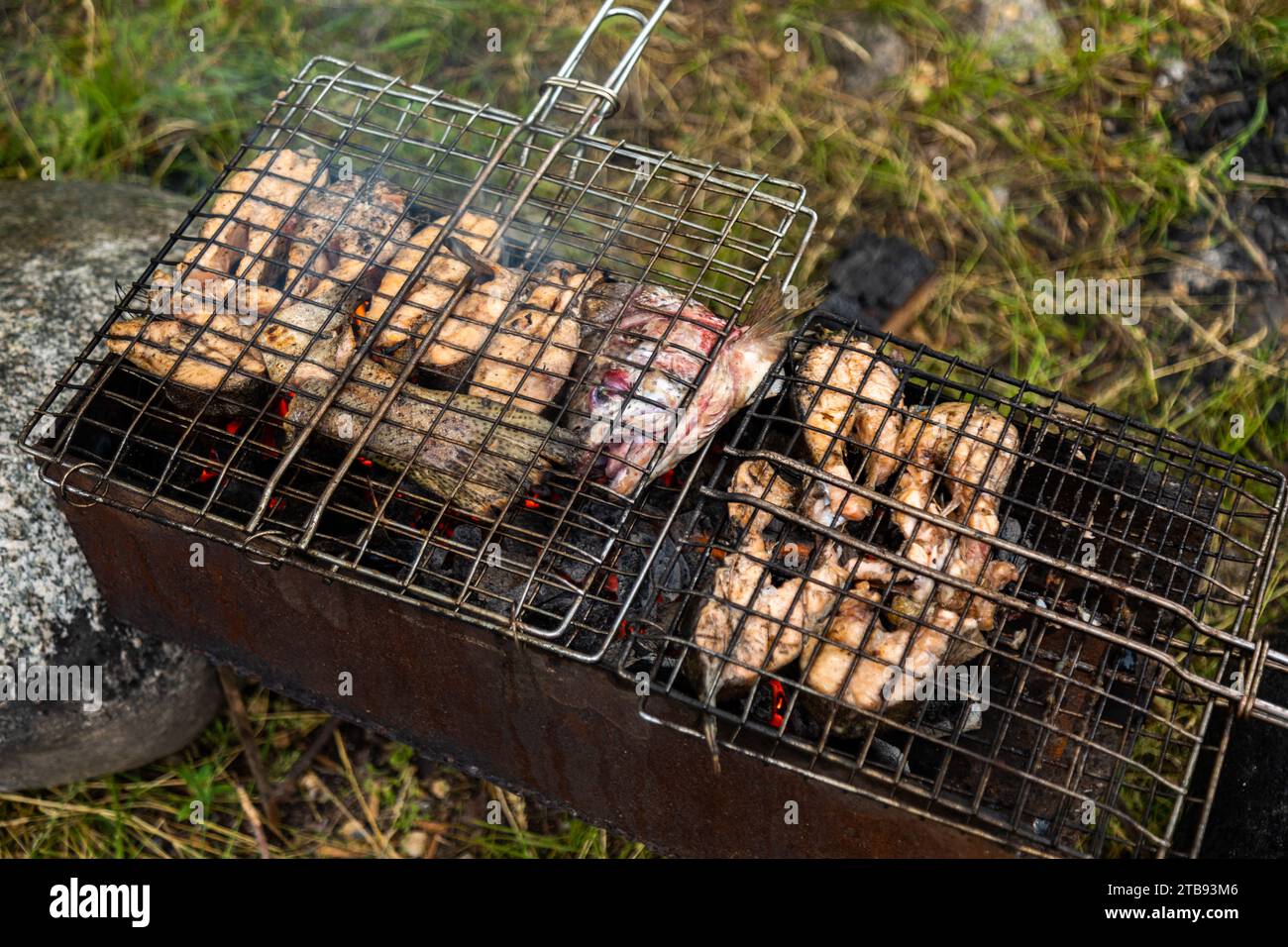 Cut fish in metal grate grilling on a brazier with flaming charcoal ...