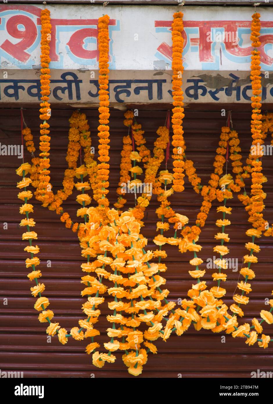 Nepal, Kathmandu, Tihar festival, flower decoration Stock Photo - Alamy