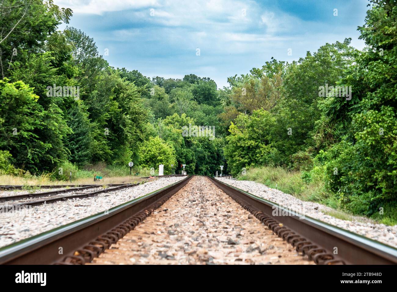 A train tracks in Hardy, Arkansas, USA through a forest, with trees ...