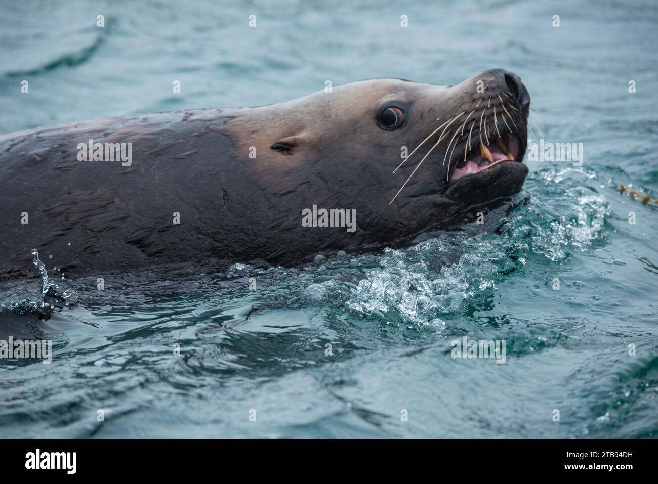 Usa alaska inian islands hi-res stock photography and images - Alamy
