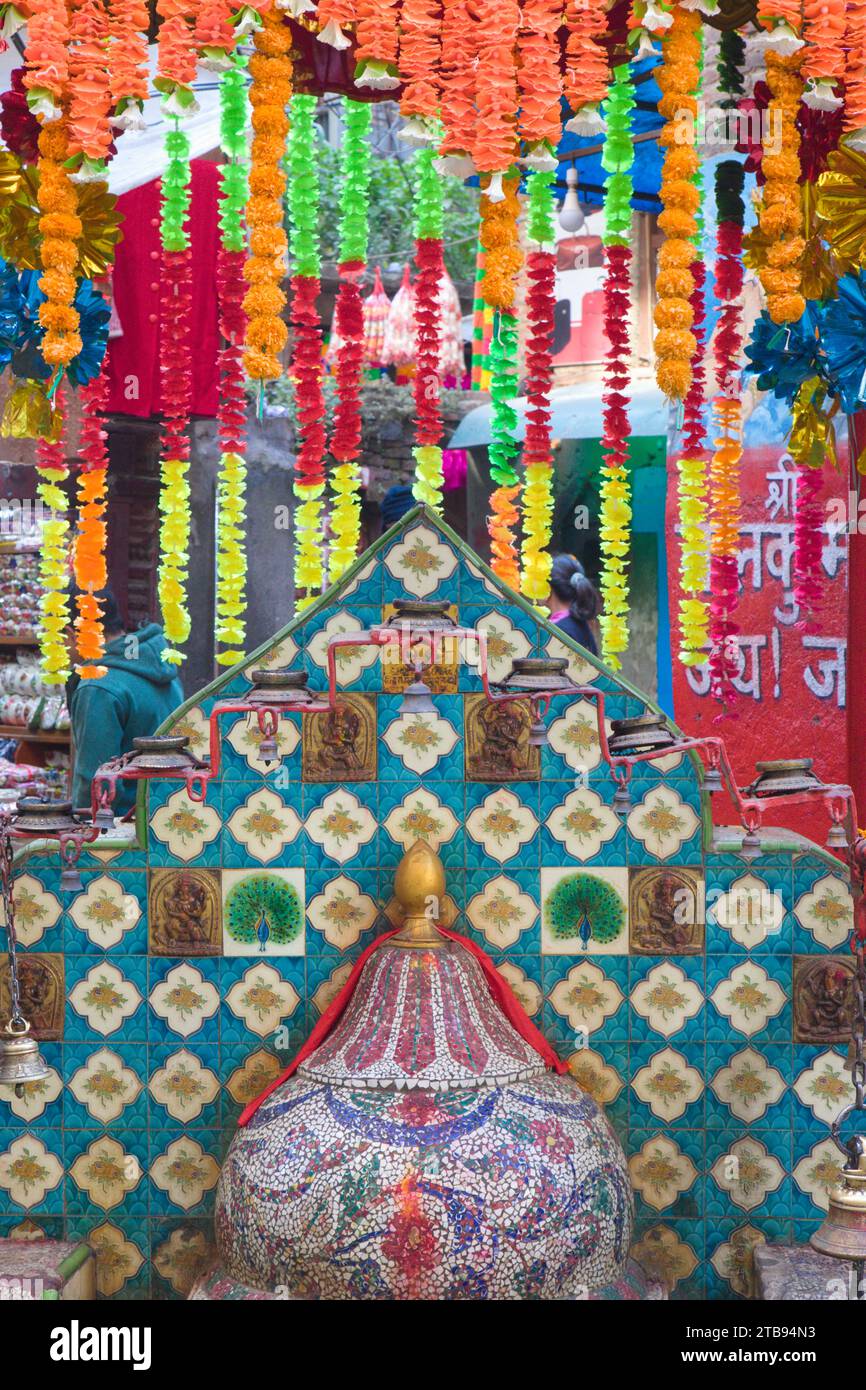 Flower of nepal hi-res stock photography and images - Alamy