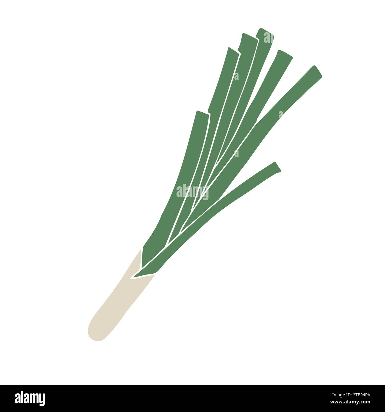 Vector hand drawn doodle sketch leek isolated on white background Stock ...