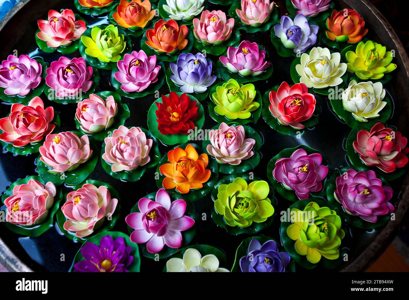Tibet flowers hi-res stock photography and images - Alamy