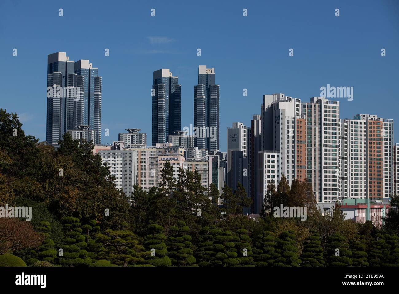 architecture in Busan, South Korea Stock Photo - Alamy