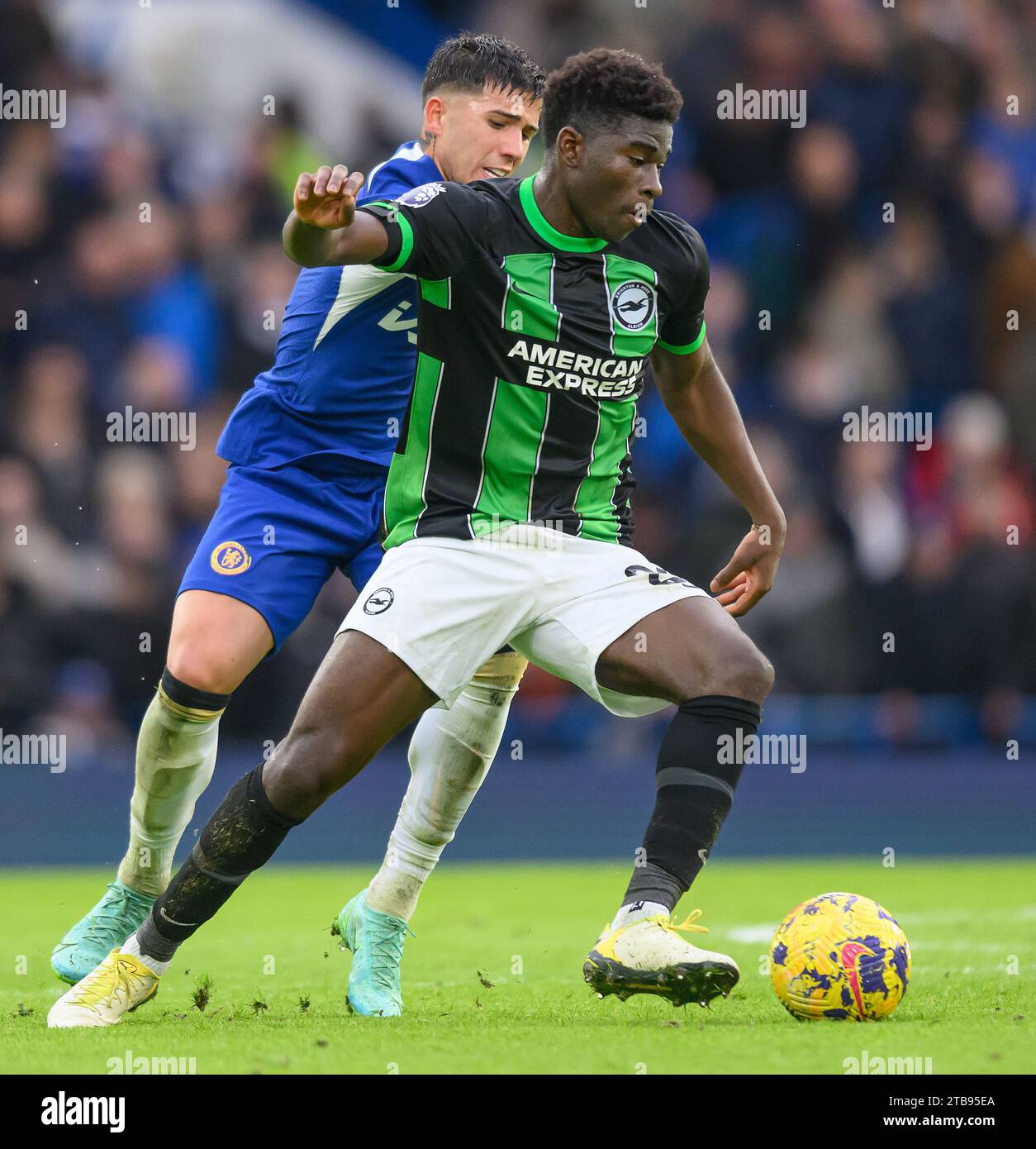 Brighton carlos baleba 2023 hi-res stock photography and images - Alamy