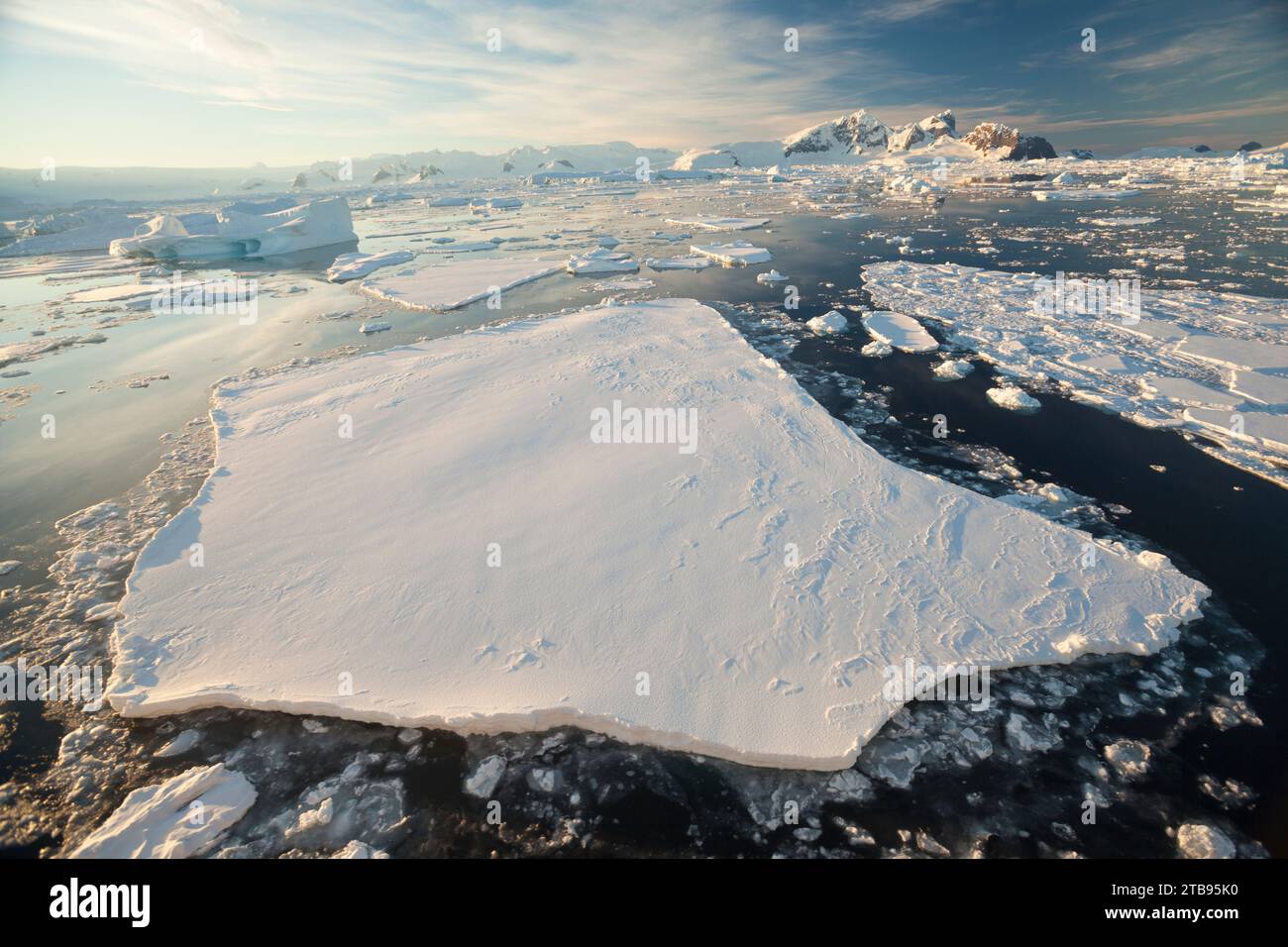 Broken ice in Crystal Sound; Antarctica Stock Photo - Alamy