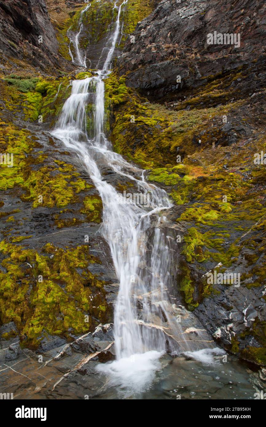 Waterfall cascades down a cliff into the ocean on South Georgia Island ...