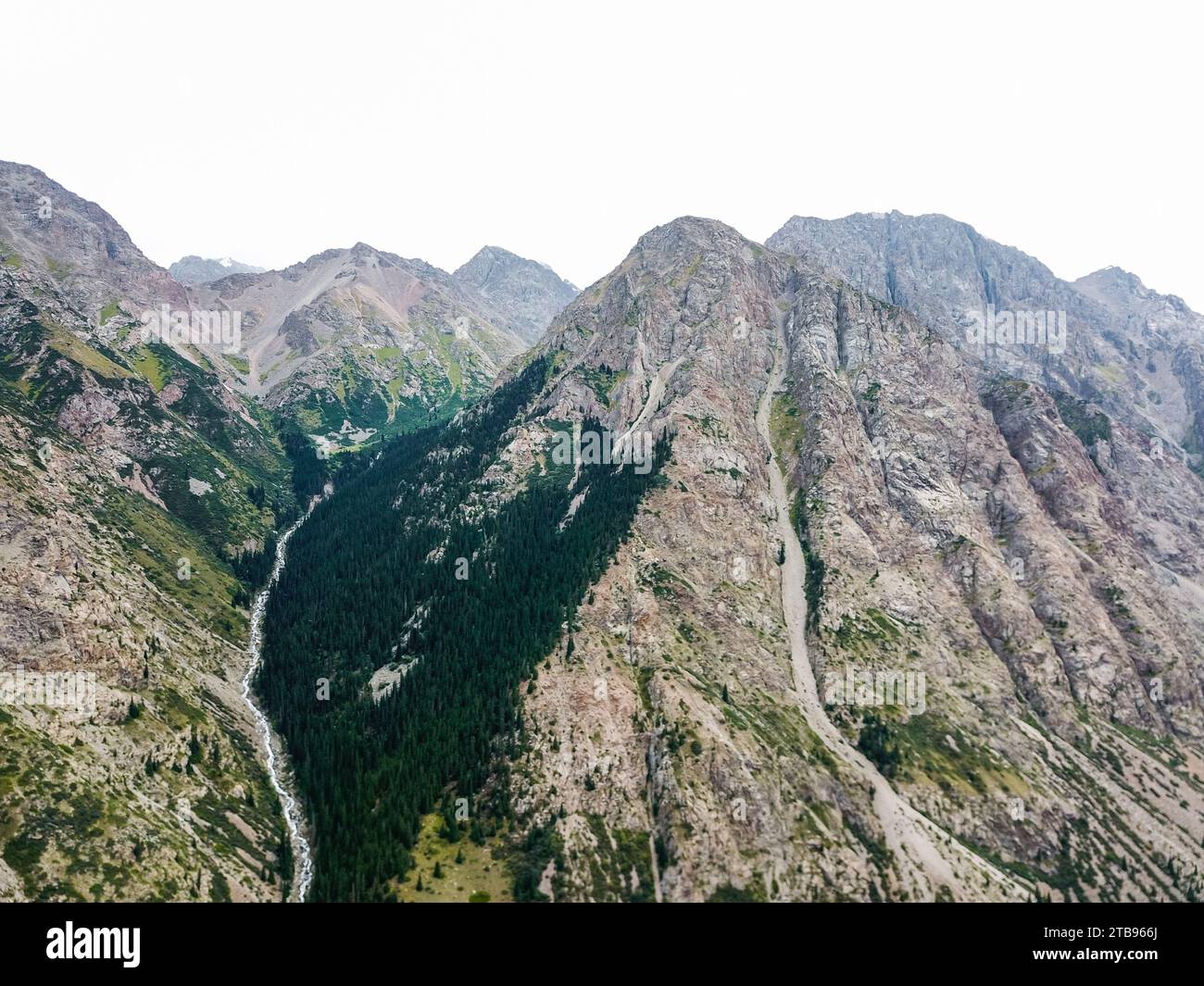 Aerial view of mountain waterfall surrounded with fir trees in Barskoon ...