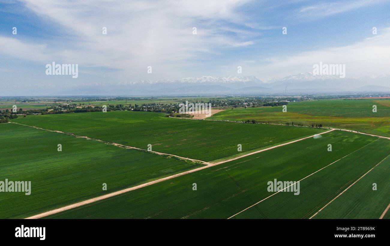 Aerial view of green agriculture fields with growing crops Stock Photo ...