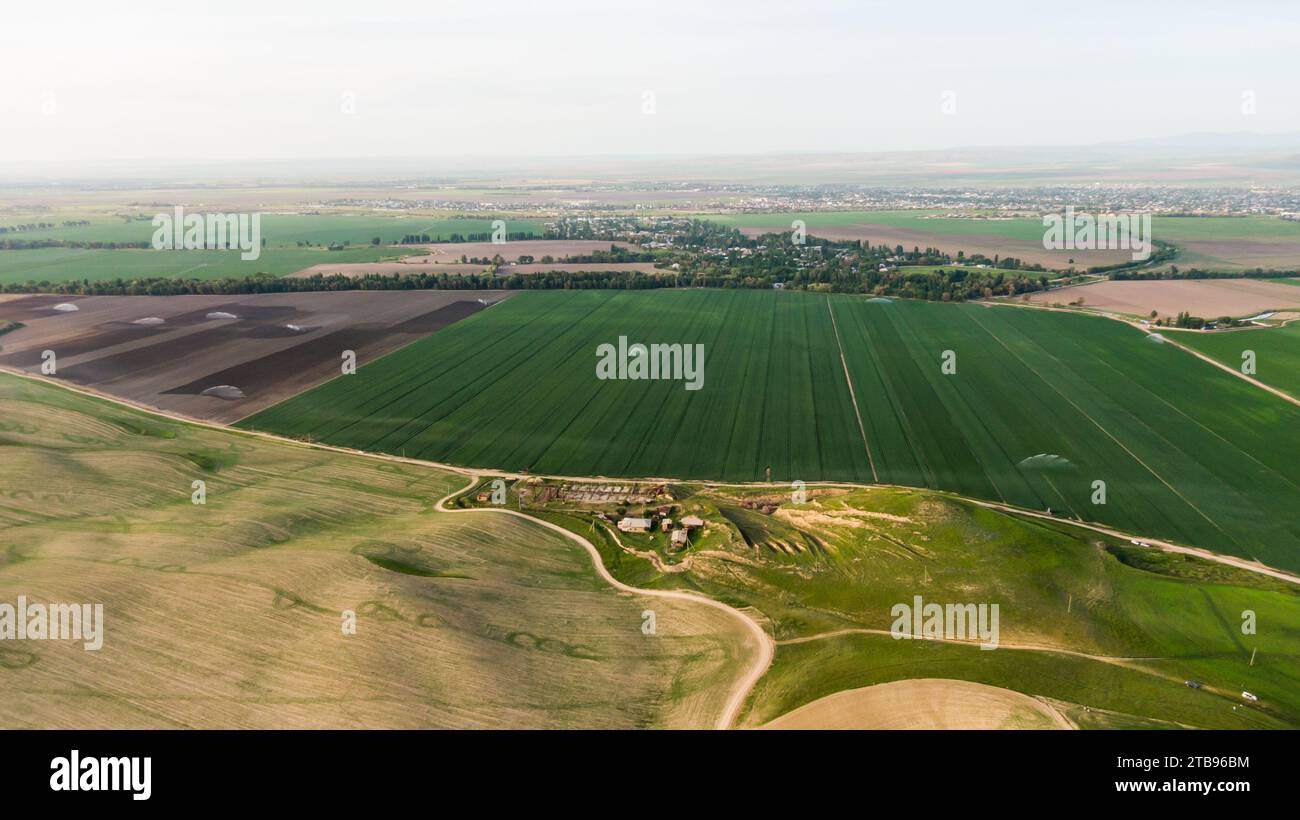 Aerial view of green agriculture fields with growing crops Stock Photo ...