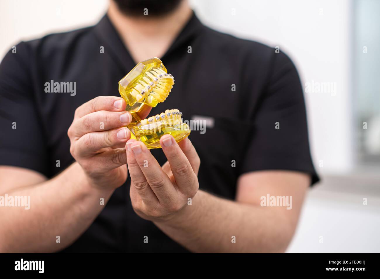 Doctor performing artificial human jaws of yellow plastic with ...
