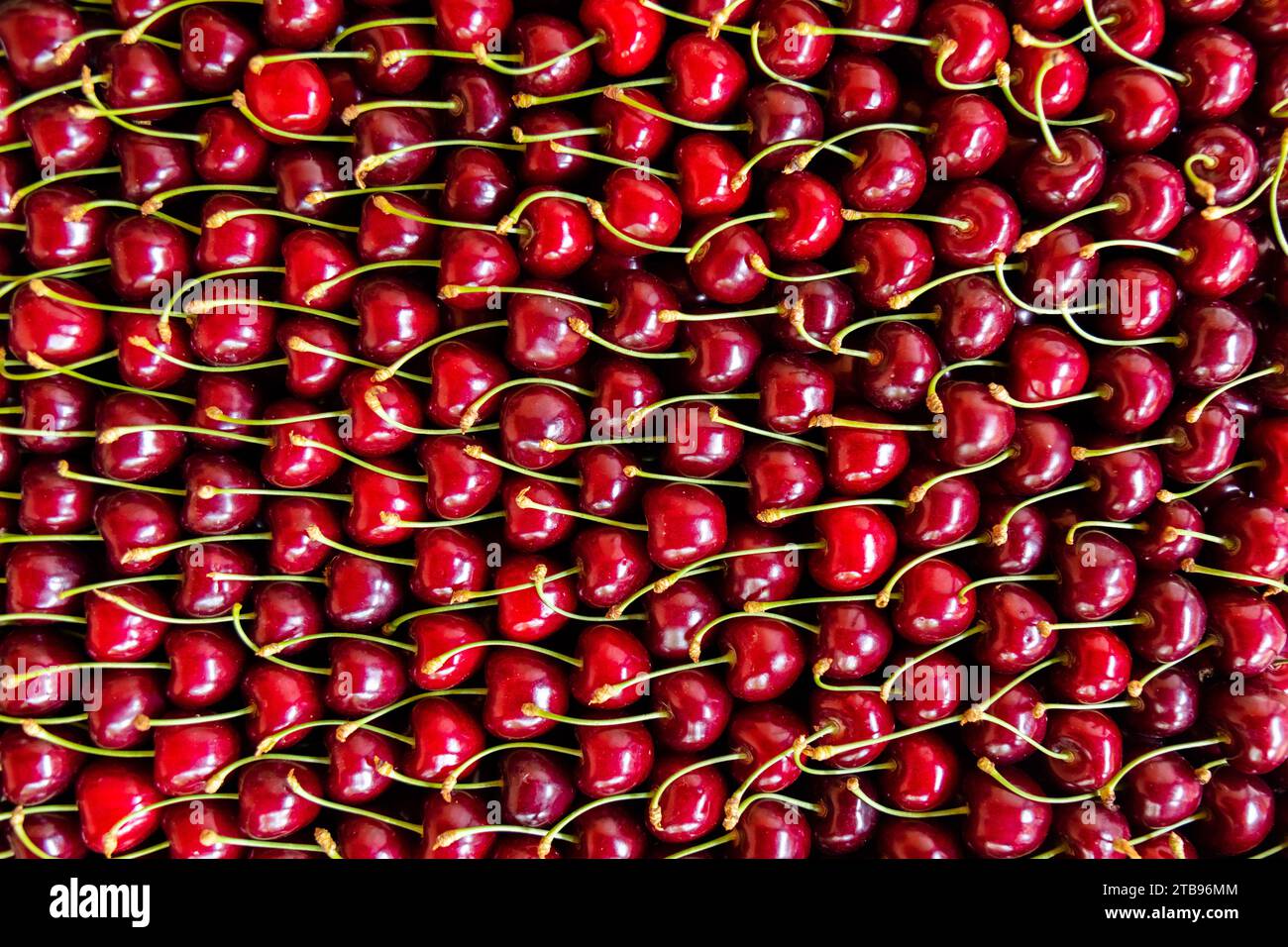 Texture of ripe cherries in a row Stock Photo - Alamy