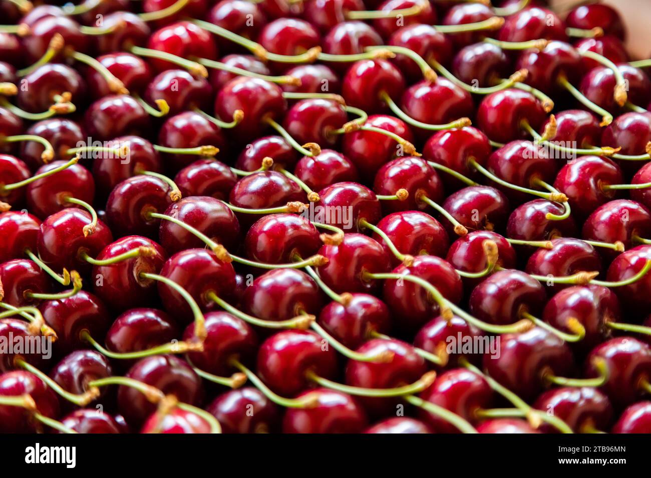 Texture of ripe cherries in a row Stock Photo - Alamy