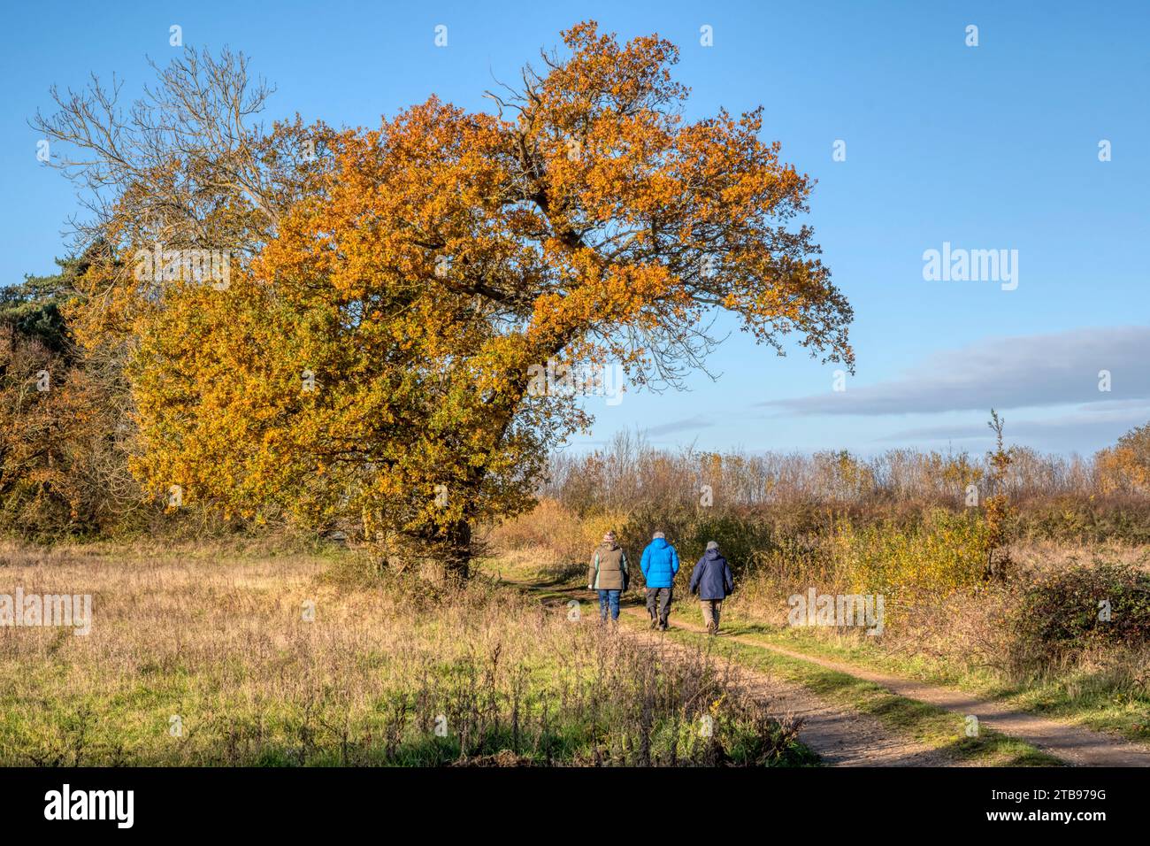 A group of people on an autumn walk following the Snettisham Circular ...