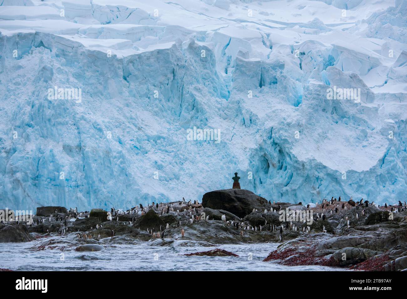 Chinstrap penguin colony (Pygoscelis antarctica) and bust of Luis Pardo ...