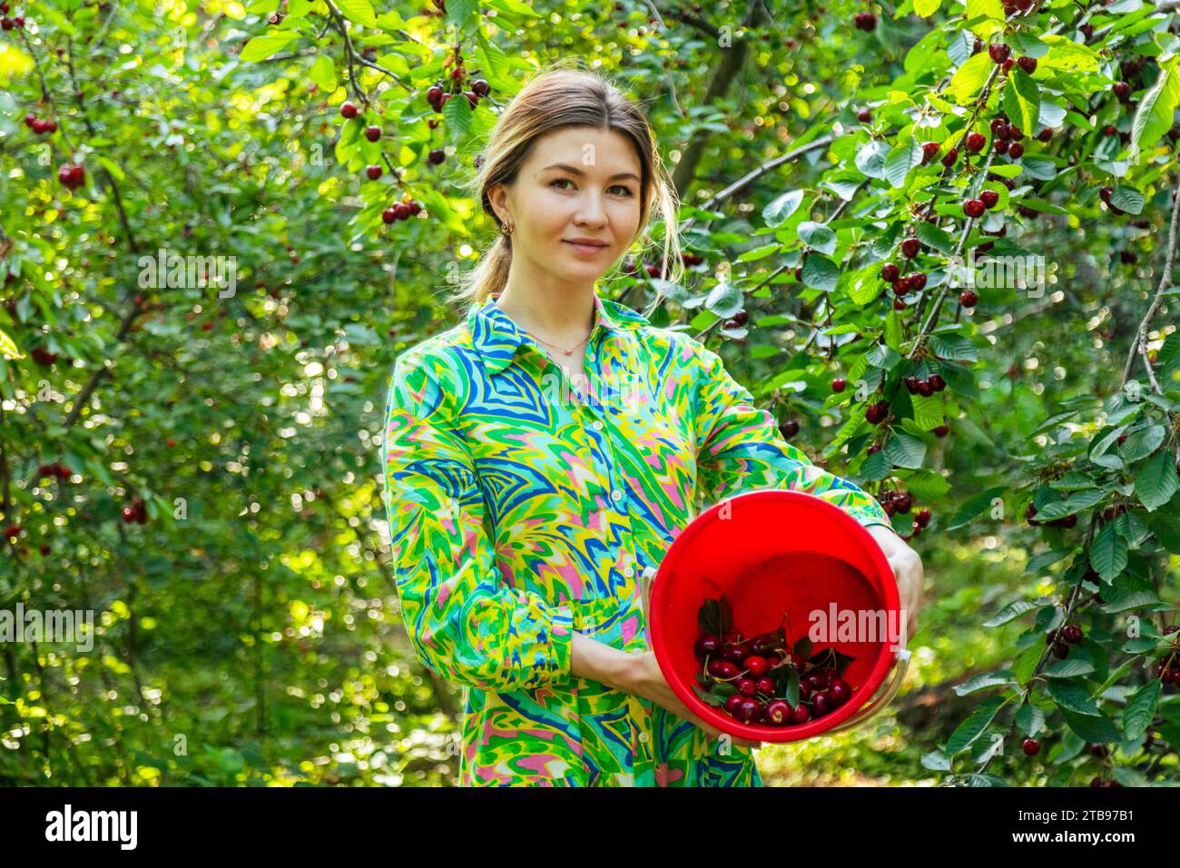 Portrait of woman in colorful dress holding the red bucket with ripe ...