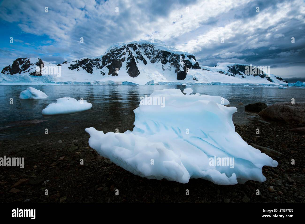 Ice, snow and land of the Antarctic peninsula at Danco Island; Danco ...