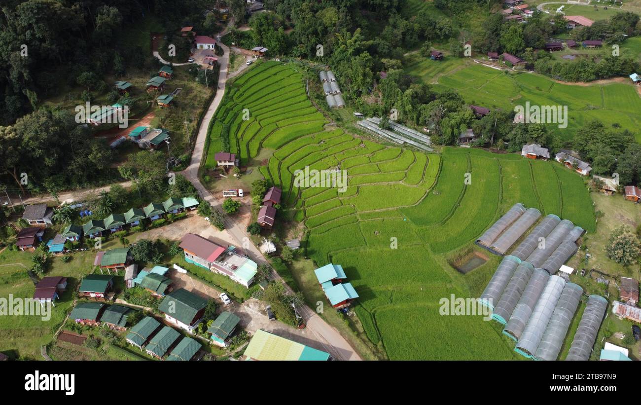 Green rice fields between mountains with Mae Klang Luang village On Doi ...