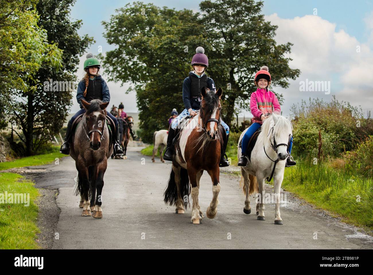 Girl in pink hat and jacket on white pony and young girls riding horses ...