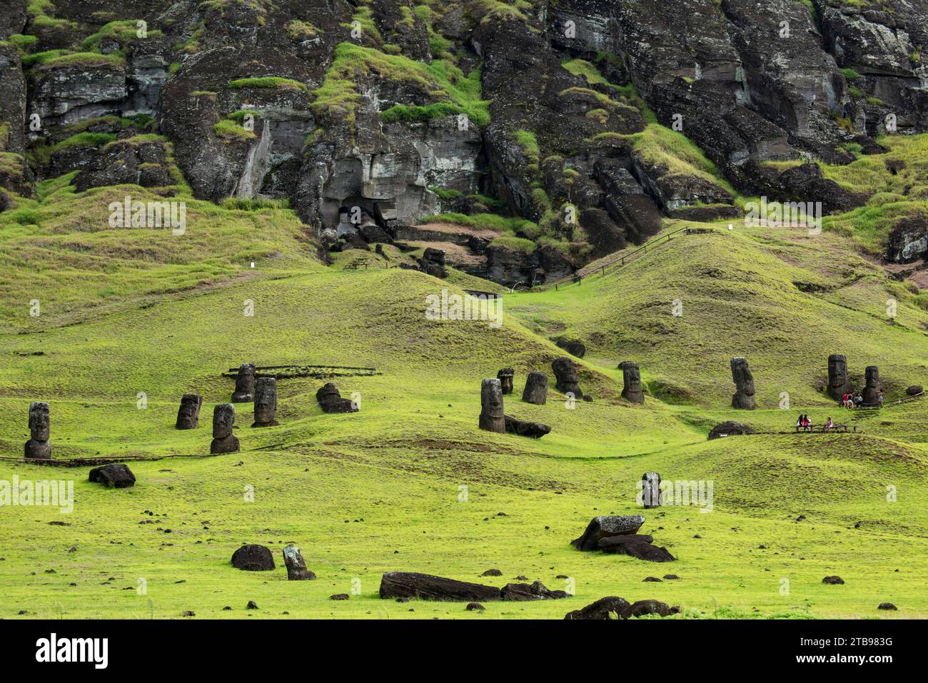 Moai at Rano Raraku Quarry on Easter Island; Hanga Roa, Easter Island ...