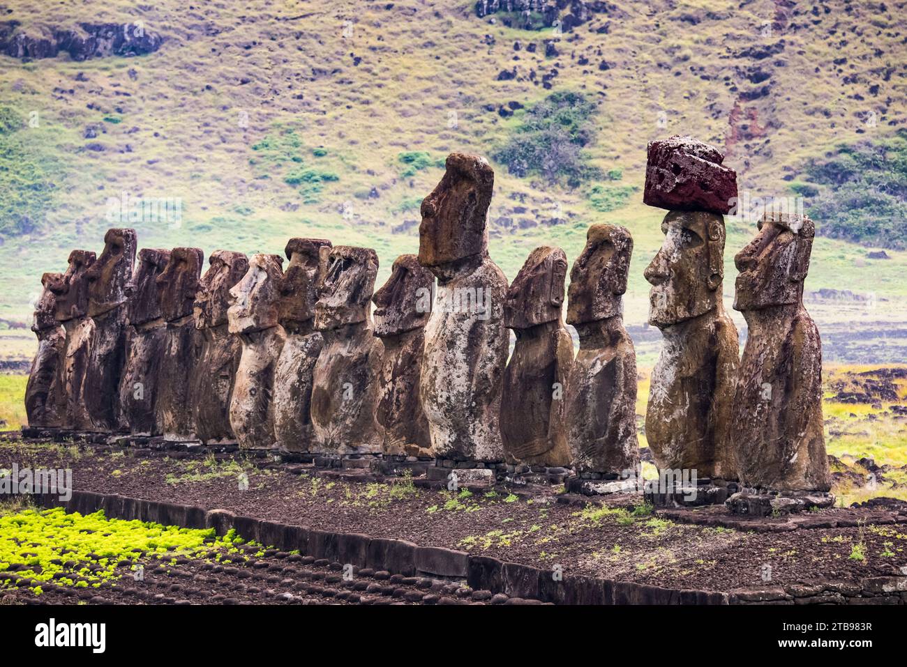 Moai at Rano Raraku Quarry on Easter Island; Hanga Roa, Easter Island ...
