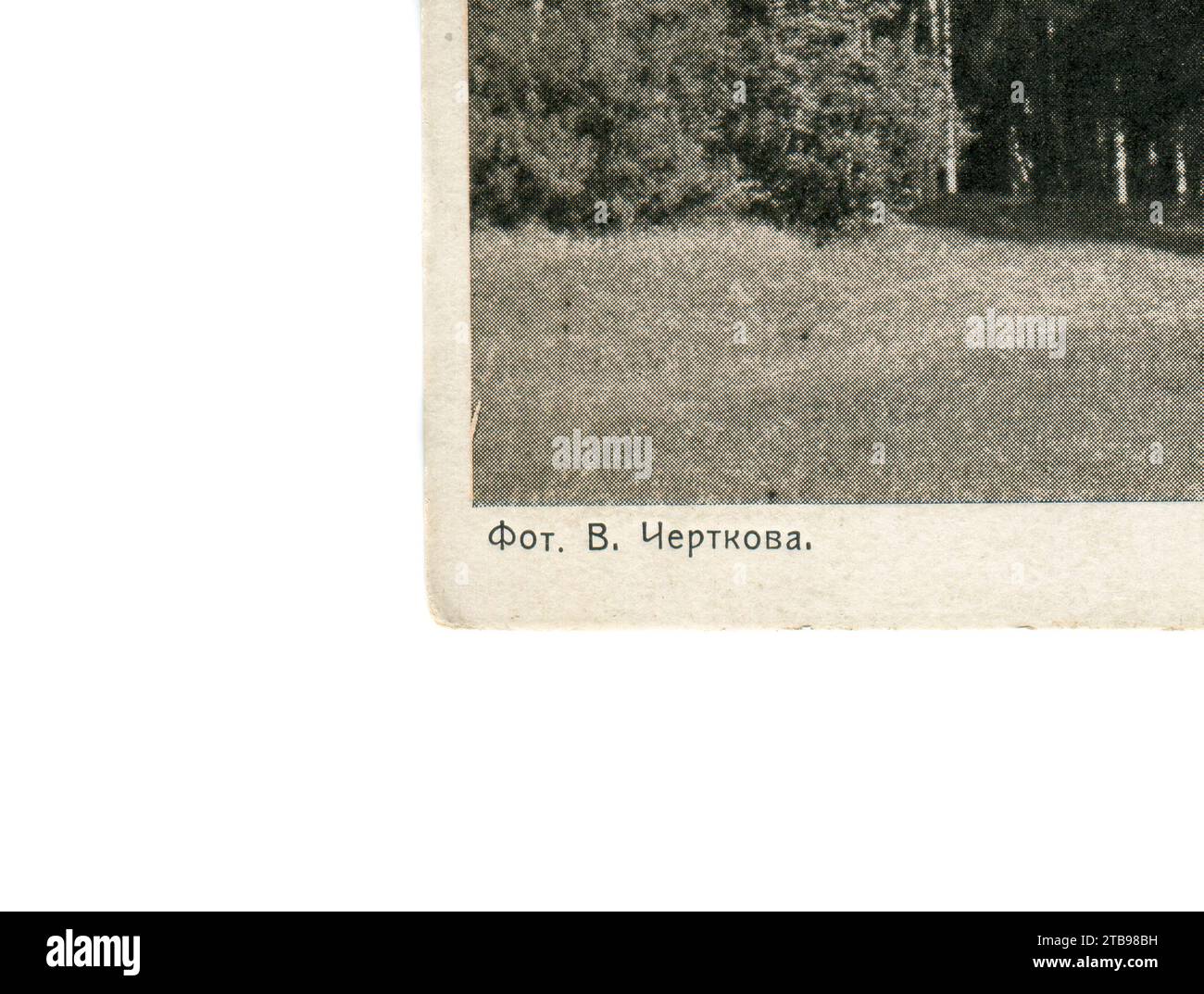 Photo of Lev Nikolayevich Tolstoy (Russian: Лев Николаевич Толстой; 9 ...