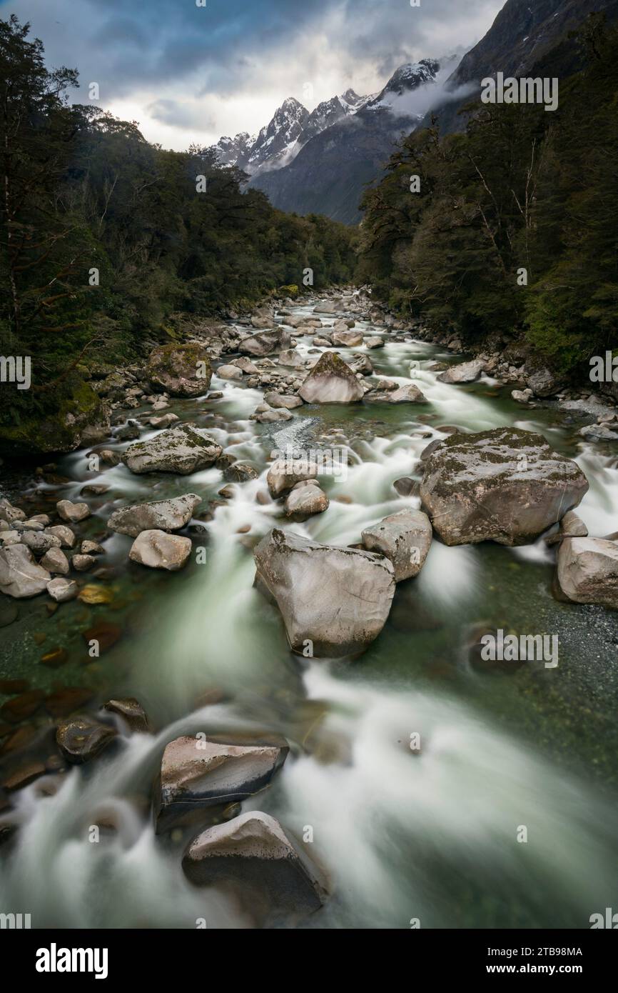 Tutoko River surrounded by trees and mountains; Milford Sound, South ...