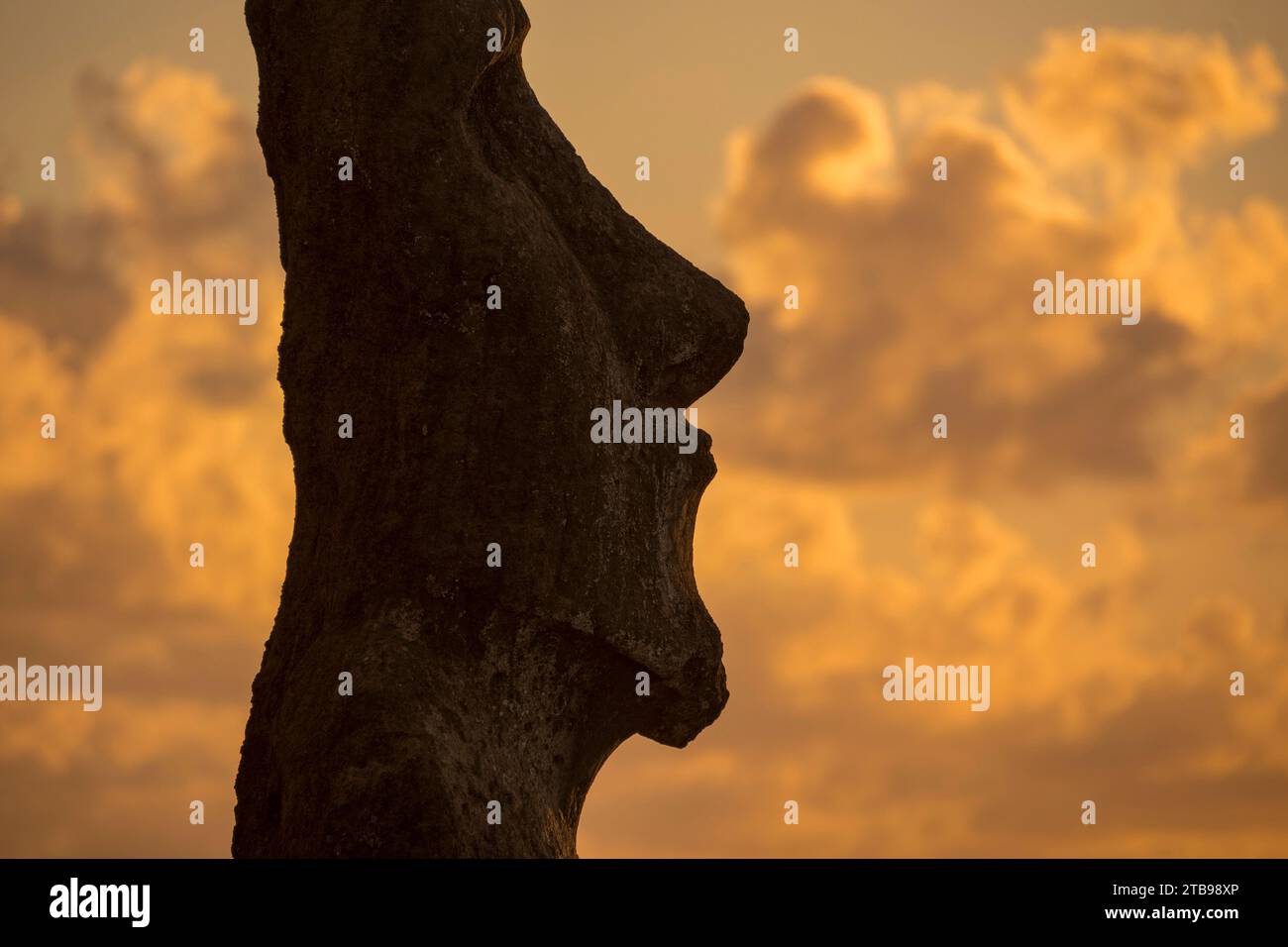Close up of one of the Moai on Easter Island at Tongariki site, Rapa ...