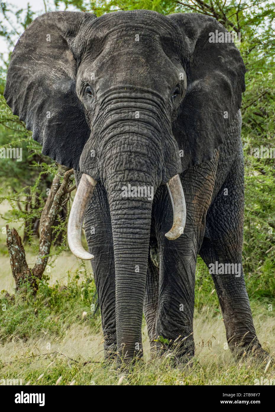 Chief’s island hi-res stock photography and images - Alamy