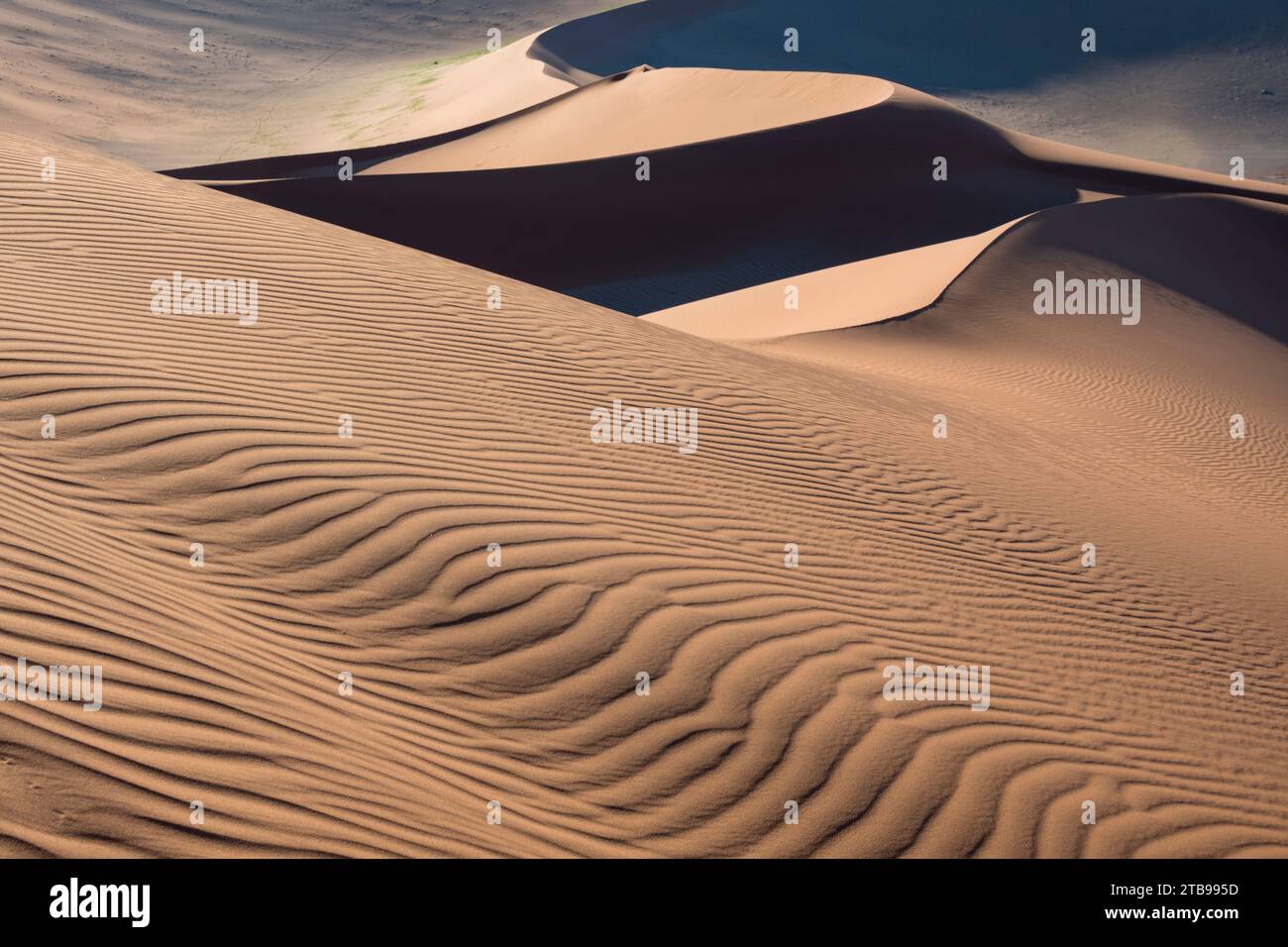 Interplay of light and shadow on the windswept dunes of Namib-Naukluft ...