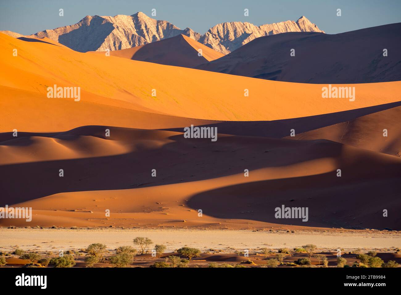 Sand dunes and the Naukluft Mountains in late afternoon light in Namib ...